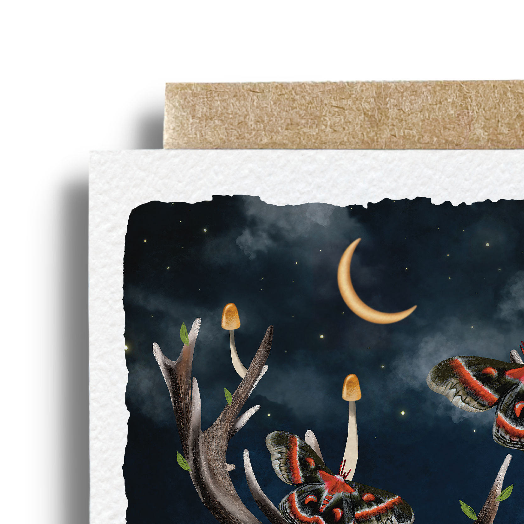 Deer Night Moth Card – The Crafted Goat
