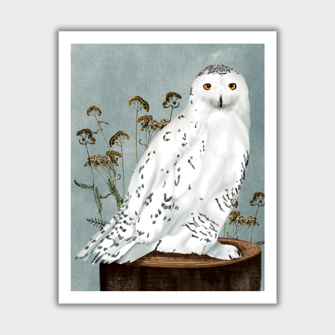 Snowy Owl Print – The Crafted Goat